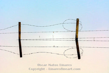 Fine Art Installation & Picture Hanging - Linares Fine Art – Linares ...